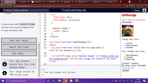 Im Super Stuck Please Help Html Css The Freecodecamp Forum