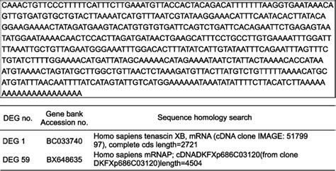 Sequencing And Blast Search Download Scientific Diagram