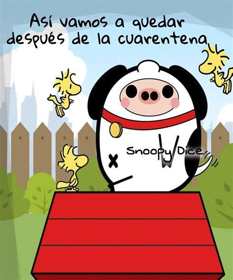 Pin De Myriam Lopez Acevedo En Graciosos Snoopy Gracioso