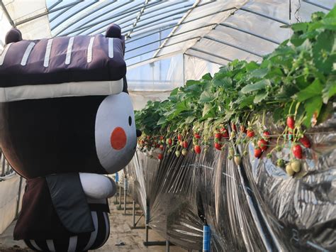 渡辺みちたろう 昨日の午後から在京当番のためこの土日は東京にいます。 政府の危機管理上、各省庁の大臣・副大臣・政務官の政務三役で誰か一人は