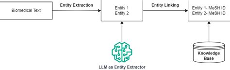 Building A Biomedical Entity Linker With Llms Towards Data Science