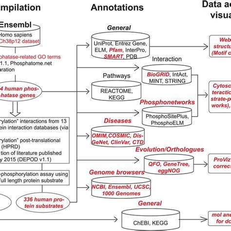Schematic organization of DEPOD. DEPOD is organized in the following ...