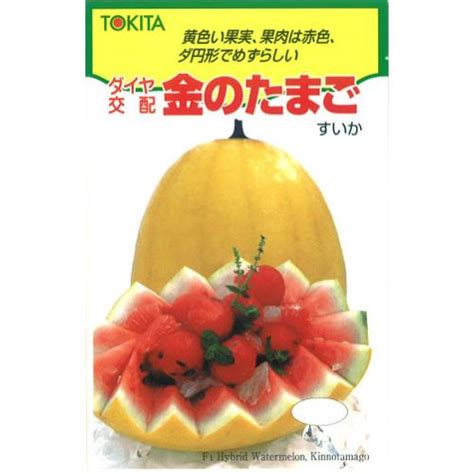 トキタ種苗 スイカ 種 金のたまご 100粒 イケダグリーンセンターヤフー店 通販 Yahooショッピング