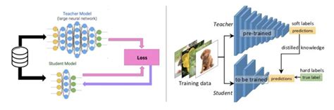 Model Compression Allows Real Time Edge AI Processing Xailient