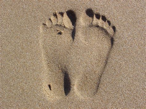 Footprint Free Stock Photo FreeImages