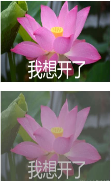 css滤镜filter，让页面加上滤镜效果 filter hue rotate csdn博客