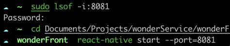 Xcode React Native Project Could Not Connect To Development Server