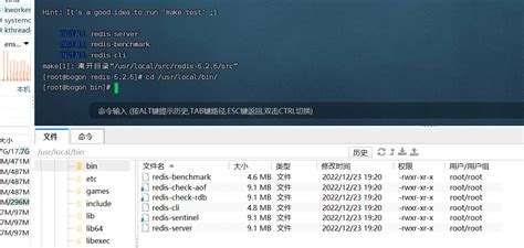 Redis Csdn