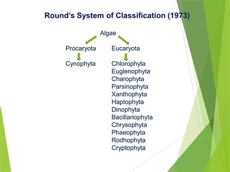 Classification Of Algaepdf