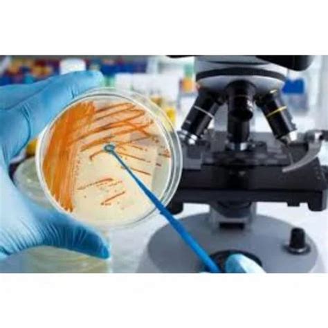 Microbiological Testing Service In Chennai Id 20884273812