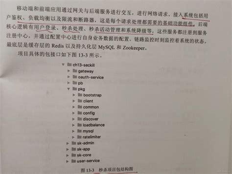 13go语言高并发与微服务实战 综合实战：秒杀系统的设计与实现go语言高并发与微服务实战电子版 Csdn博客