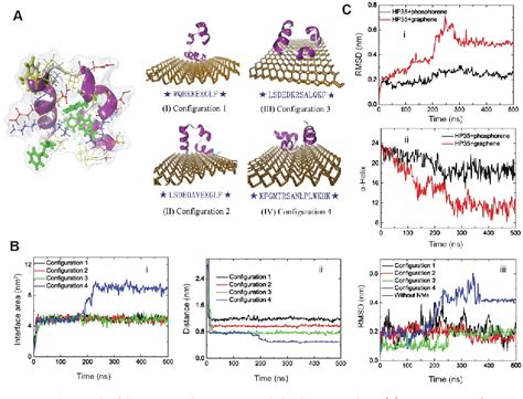 Figure 1 From Nanobio Interface Between Proteins And 2d Nanomaterials