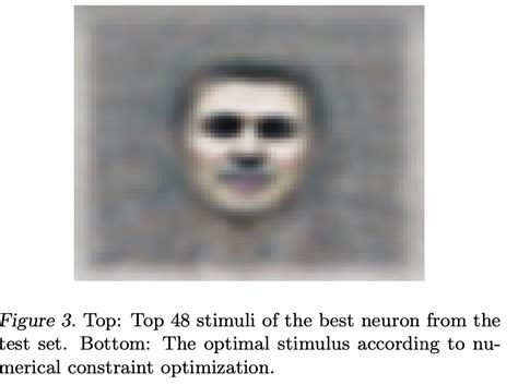 Ml Paper Challenge Day 36 37— Building High Level Features Using Large Scale Unsupervised