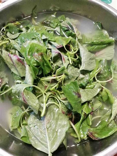 Amaranth In Soup Recipe Simple Chinese Food