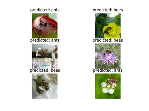 전이학습transfer Learning 튜토리얼 — Pytorch Tutorials 031 Documentation