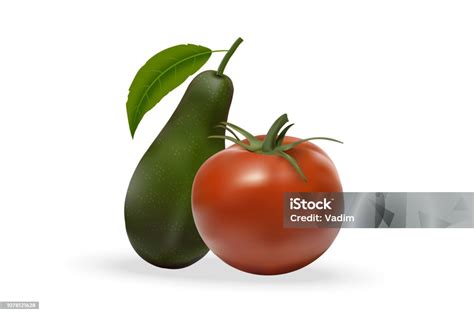 아직도 생활의 토마토와 아보카도 흰색 바탕에 현실적인 그림자와 잎 0명에 대한 스톡 벡터 아트 및 기타 이미지 0명 개념