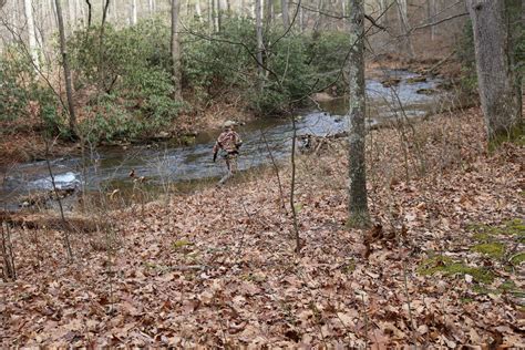 Deer Scouting PA Public Land Video Part 1 Truth From The Stand
