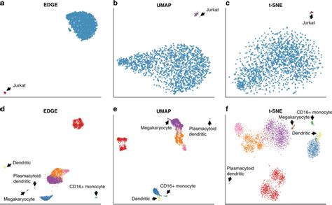 Ensemble Dimensionality Reduction And Feature Gene Extraction For Single Cell Rna Seq Data Pmc