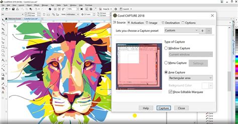 Corel CorelDRAW Graphics Suite Special Edition PL BOX Programy