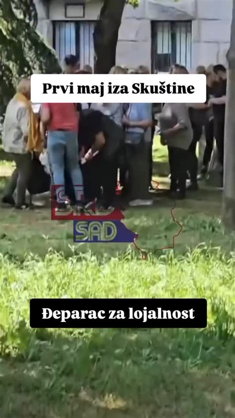Stevo Miljković Stevomiljkovicsteva • Instagram Photos And Videos