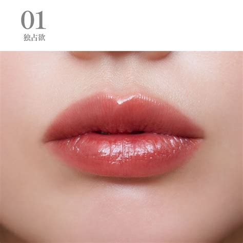 Fujiko Plumpy Lip 4colors Japan Online Shopping Hommi