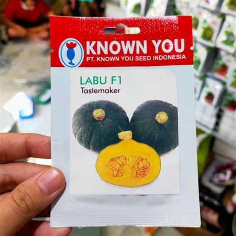 Jual Kys Benih Labu Mini Tastemaker Isi 4 Biji Benih Labu Mini