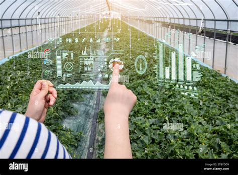 Women Who Are Managing Crops Using Augmented Reality Devices In Melon