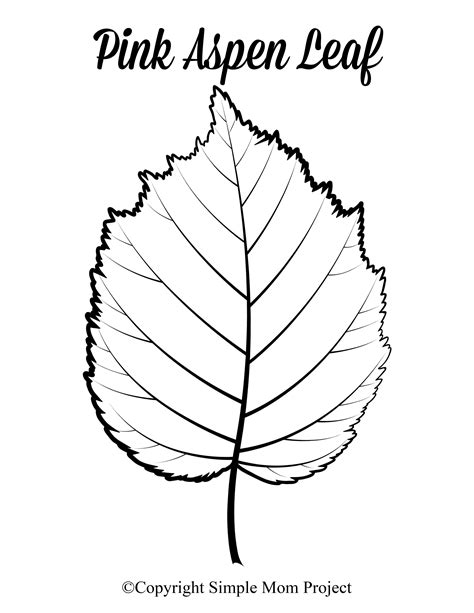 Looking For An Autumn Leaf Craft Idea Use These Free Large Printable Leaf Cutout Templates So