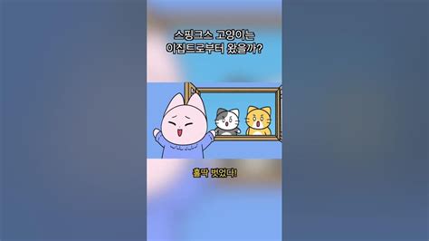 고양이 퀴즈 스핑크스 고양이는 이집트가 고향일까요 Youtube