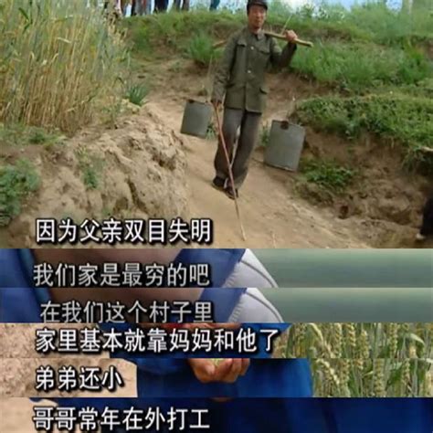 《變形計》中最清醒的農村娃：麥子熟了要回家，考上一本實現逆襲 每日頭條