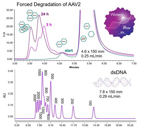 Corinne Warne On Linkedin Aavs Rna Dna Sec Hplc Viralanalysis Proteinanalysis Waters