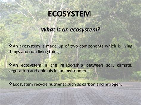 Nature Conservation Function Of Forest Ecosystem