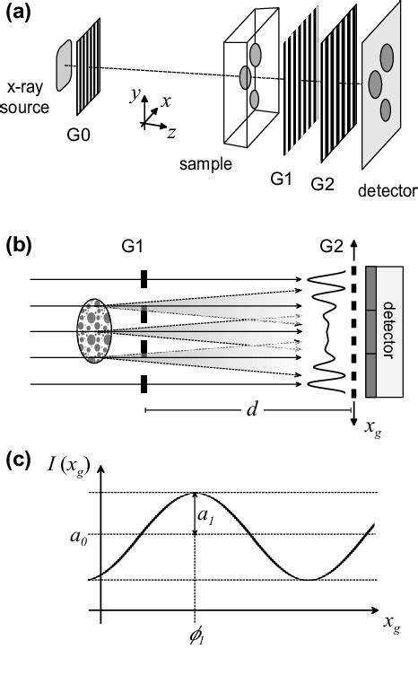 Figure 1 From X Ray Dark Field And Phase Contrast Imaging Using A