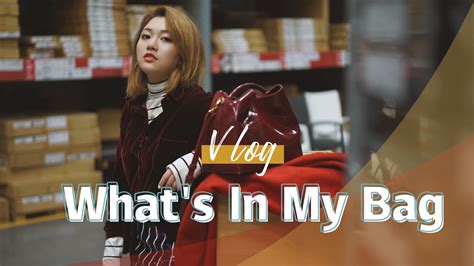 Vlog 我的包里有什么 开箱 吃火锅 逛宜家 单品清单 李文鱼大哥哥 哔哩哔哩