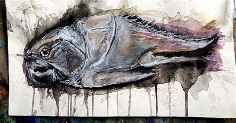 I Was Asked To Do A Drawing Of A Dunkleosteus And Spent My Whole