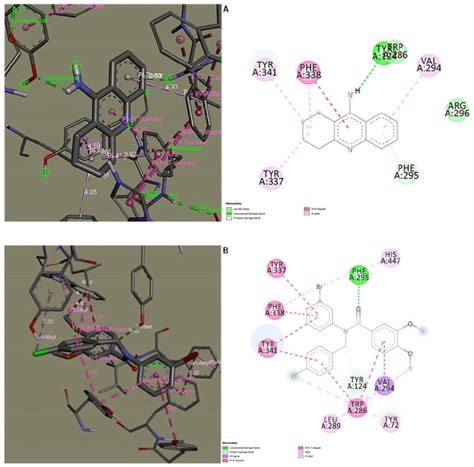 Potential Binding Modes And 2d Ligand Receptor Interaction Diagrams Of Download Scientific