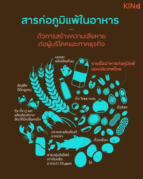 “สารก่อภูมิแพ้ในอาหาร” ตัวการสร้างความเสียหายต่อ ผู้บริโภคและภาคธุรกิจ