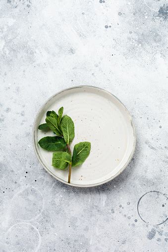 오래된 콘크리트 배경에 세라믹 플레이트에 민트의 신선한 분기 0명에 대한 스톡 사진 및 기타 이미지 0명 감귤류 과일