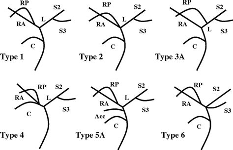 Common Anatomic Variants Describe By Choi Et Al 18 Rp Right