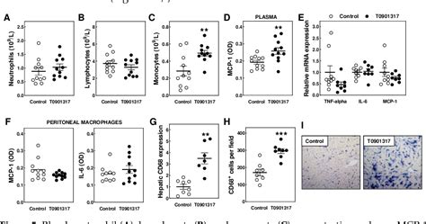 Figure 1 From Lxr Agonist T0901317′s Hepatic Impact Overrules Its