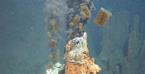 Archaea Can Survive Anywhere Now They Might Be A Source Of