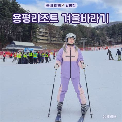 평창 용평리조트 렌탈샵 모나 용평스키장 리프트권 가격 할인 겨울바라기 네이버 블로그