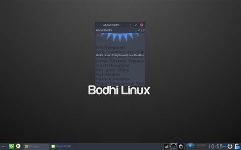 Bodhi Linux 4 1 0 Screenshots