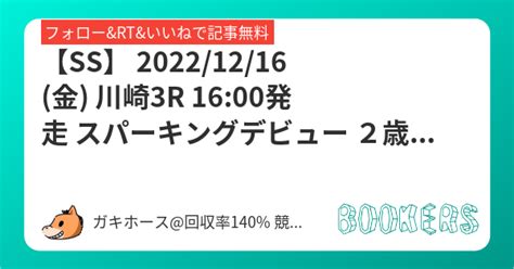 【ss】 20221216金 川崎3r 1600発走 スパーキングデビュー 2歳九イ Bookersブッカーズ