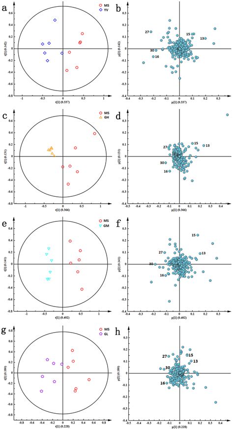 pca score plots a c e and g and corresponding loading plots b d