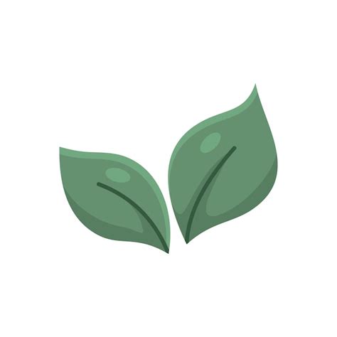 Leaf Element Ornament Design Premium Vector