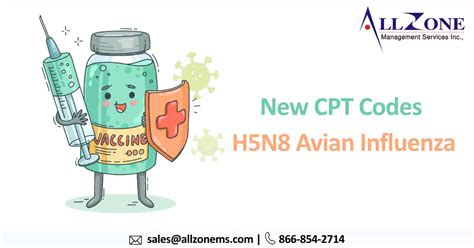 New Cpt Codes For H5n8 Avian Influenza Vaccine Ama Updates