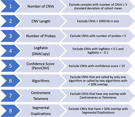 Cnv Analysis And Filtering Pipeline Workflow Showing The Various