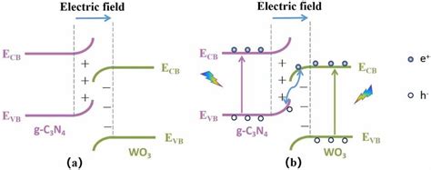 Built In Electric Field And Charge Carrier Flow Direction Of Wo3g C3n4