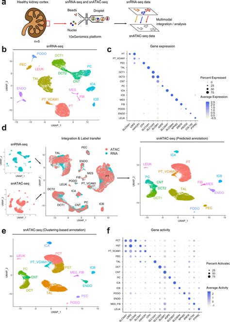 Single Cell Transcriptional And Chromatin Accessibility Profiling On